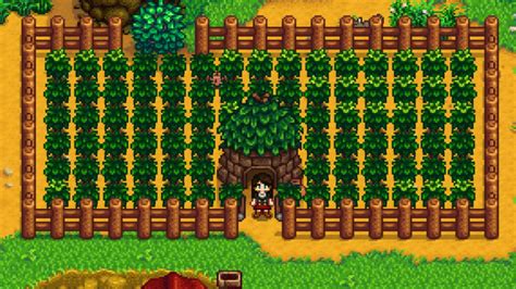 Stardew Valley Tea Sapling How To Unlock And Grow Tea Kjc Esports