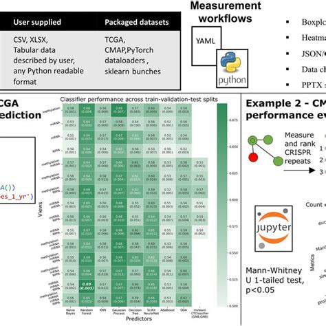Inside A Vnc Container Download Scientific Diagram