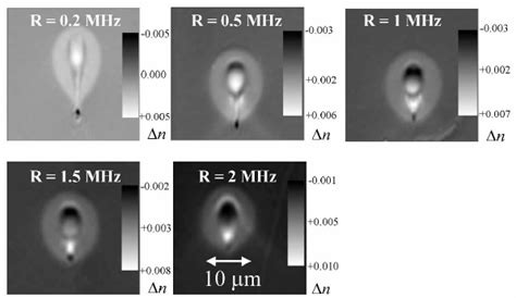 Cross Sectional Refractive Index Profiles From Rnf Measurements Of