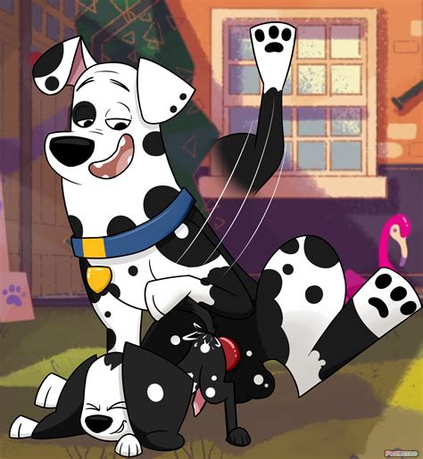 Dalmatian Street