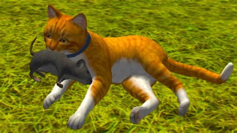 Симулятор КОТА и КОШКИ 1 Начало Охочусь на мышей Кид и Новый Сим про котика на пурумчата