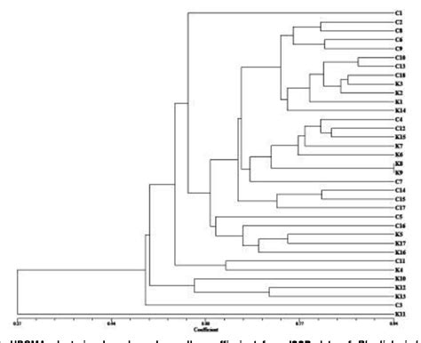 Figure 1 From Using Inter Simple Sequence Repeat Markers To Analyze The Genetic Structure Of