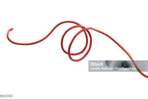 Wire Cable Of Usb And Adapter Isolated On White Backgroundelectronic Connectorselection Focus