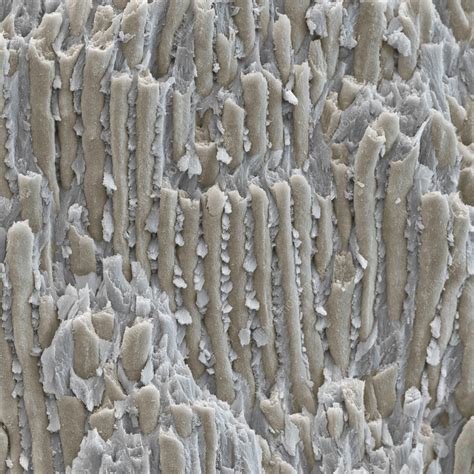 Tooth Enamel Sem Stock Image P486 0111 Science Photo Library