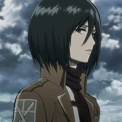 Pin By Ryu Lel On Shingeki No Kyojin Attack On Titan Anime Attack On
