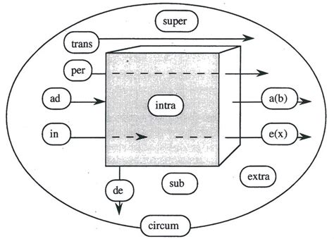Prefixes Denoting Place Greek And Latin Roots Part I Latin