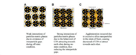 Schematic Illustration Of Particles Matrix Interactions In MR Foam At Download Scientific