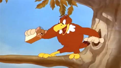 Flirty Birdy Eagle 2 By Giuseppedirosso On Deviantart