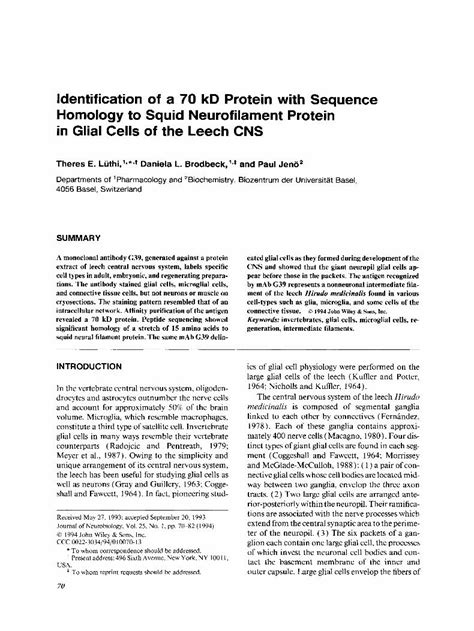 Pdf Identification Of A 70 Kd Protein With Sequence Homology To Squid