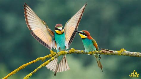 3 Tips To Rev Up Your Sex Life This Spring Deborah King