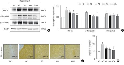 Figure 2 From Effect Of Endurance Exercise And Mitoq Intake On Tau