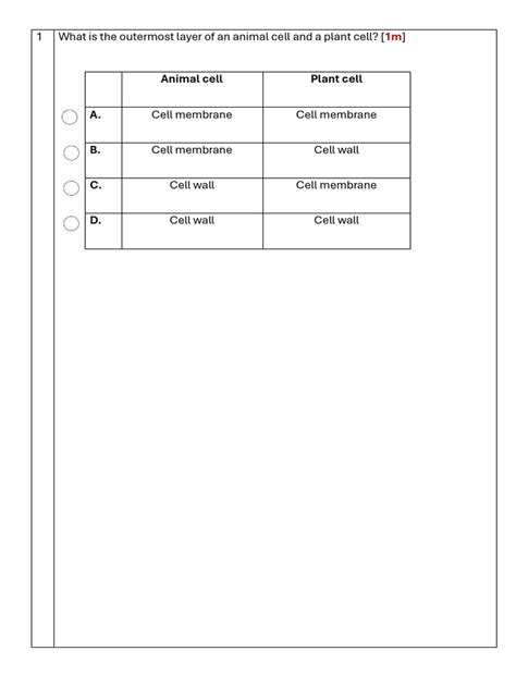 Y7 Revision Test Pdf Chemical Compounds Cell Biology
