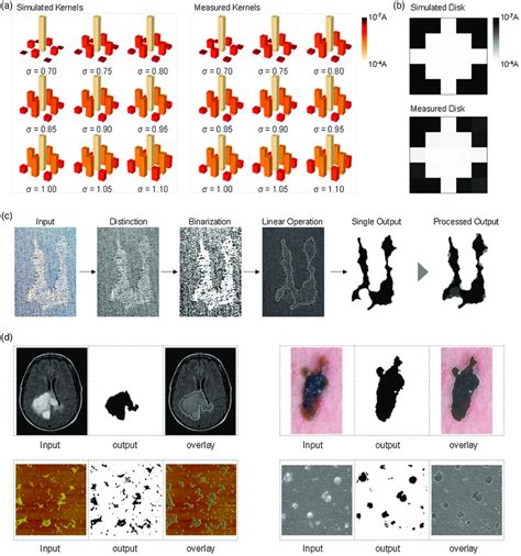 demonstrations of the defect detection a simulated and measured