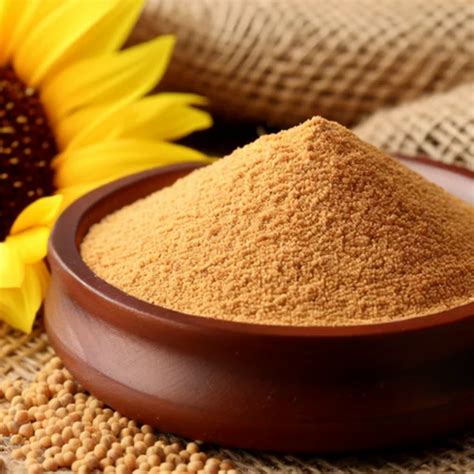 Sunflower Lecithin Powder 500 G At Best Price In Nagpur Id