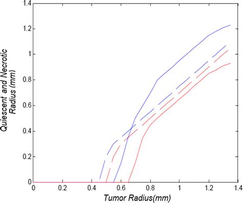 Quiescent And Necrotic Radius In Respect To Different Tumour Radius