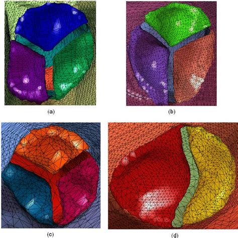Pdf Finite Element Meshing For Cardiac Analysis