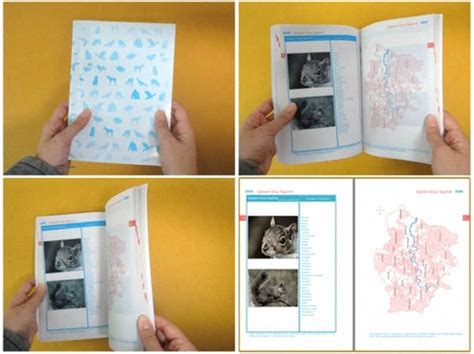 Species To Species Design Project Gigl