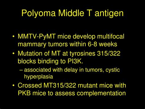 Ppt Protein Kinase Signaling Pathways Powerpoint Presentation Free Download Id3383573