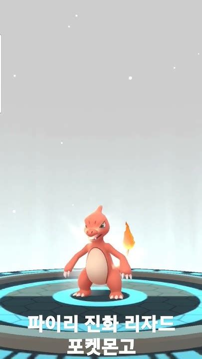 리자드 파이리 진화 불꽃 타입 포켓몬고 Youtube