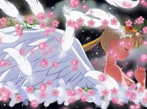 Sailormoon Album Angel Sailor Moon Wattpad