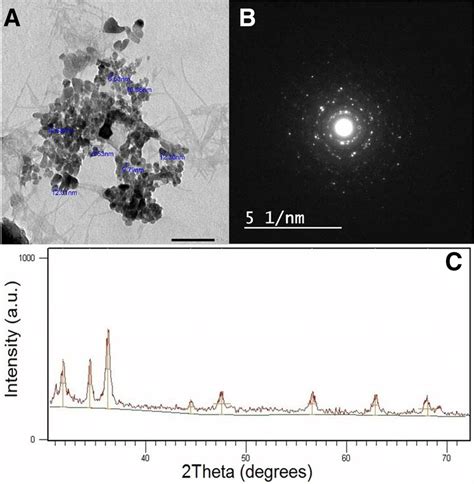 Characterization Of Zno Nps Showing A Tem B Selected Area Electron Download Scientific Diagram