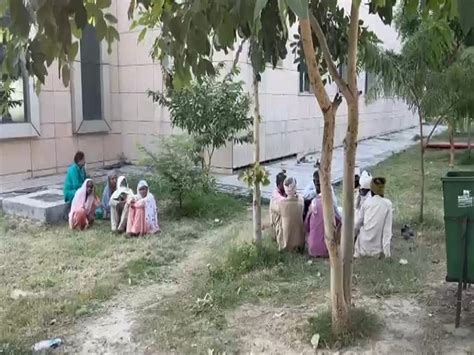 Karnal News Girl Dies After Getting Pesticide From Farm करनाल में