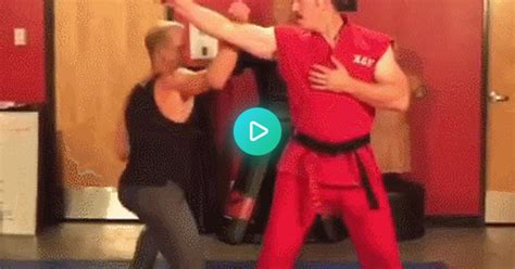 everyone should learn and master rex kwon do on imgur