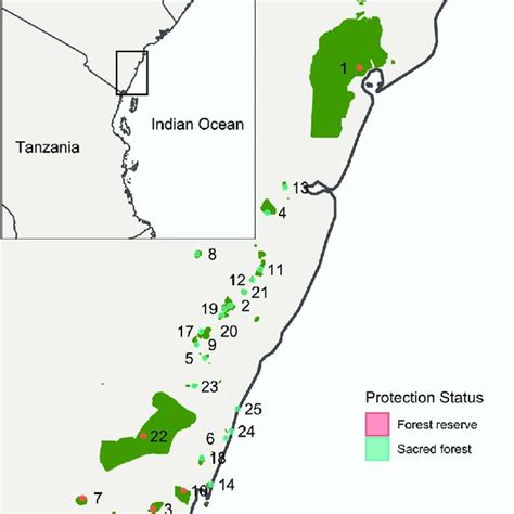 List Of The Most Diverse Families In The Kenyan Coastal Forests Download Scientific Diagram