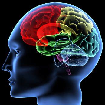 The Mind Model — Rev C Scot Giles Dmin Llc