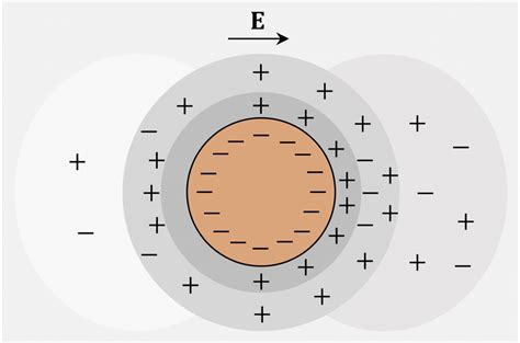 Sketch Of The Coupled Polarization Of Stern And Diffuse Layer Due To Download Scientific