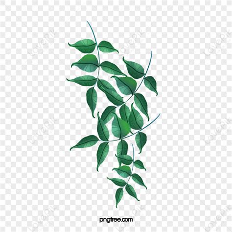 만화 손으로 그려진 된 녹색 잎 식물 일러스트 그림단순한조직 Png 일러스트 무료 다운로드 Lovepik