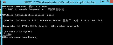 Windows系统崩溃后快速恢复oracle数据库的妙招 Csdn博客
