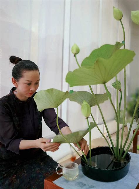 醍醐老师 喜马拉雅醍醐老师简介 伤感说说吧