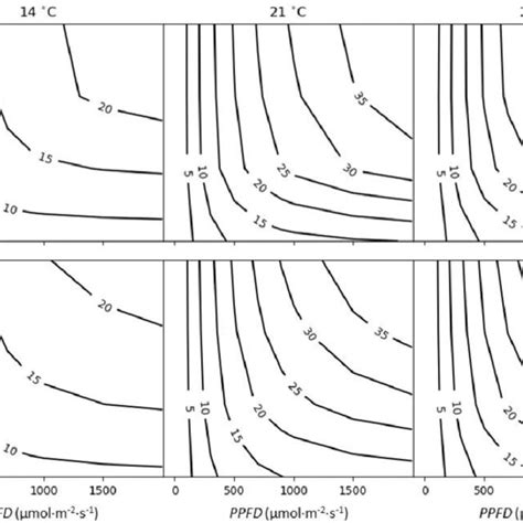 Comparison Of Net Photosynthesis P N Of Sunflower Pacino Gold