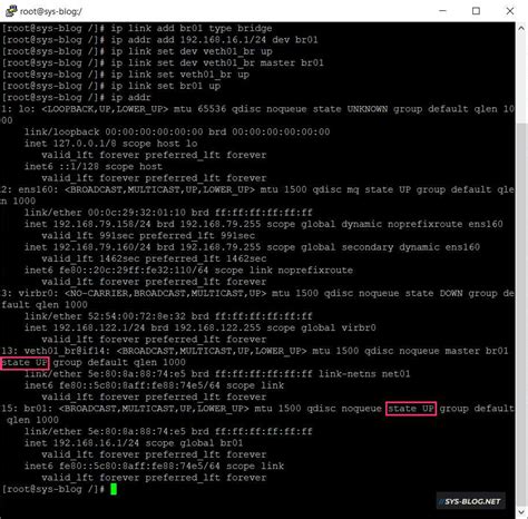 Linux系统上手动创建net Namespace及网桥bridge