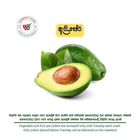 Lanka Foods Sri Lankan Foods Sri Lanka Vegetables Sri Lanka Fresh Items Lanka Foods By