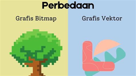 Perbedaan Vektor Dan Bitmap Dalam Desainer Grafis IDS BTEC