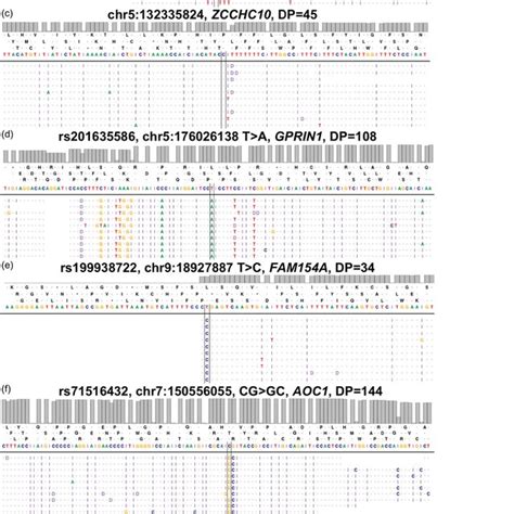 Read Alignment Patterns And Variant Calls Classified As False Download Scientific Diagram