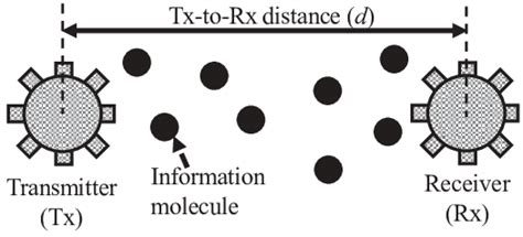 Diffusive Molecular Propagation Download Scientific Diagram