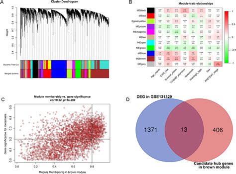 Weighted Gene Co Expression Network Analysis To Identify Hepatoblastoma