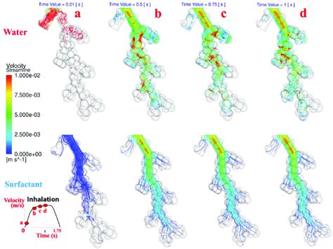Visualization Of Different Velocity Streamline Patterns For The