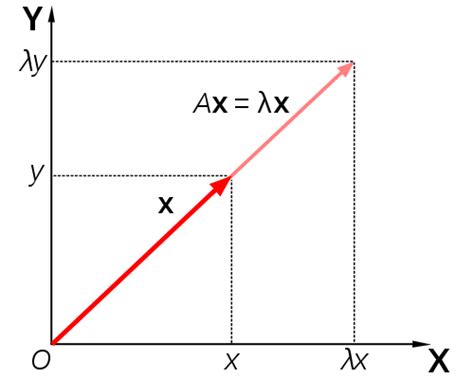 Eigenvalues And Eigenvectors Brilliant Math And Science Wiki