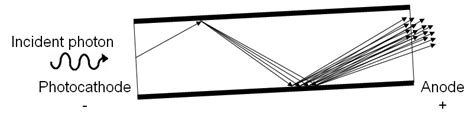 Electron Amplification In An Mcp Pmt Download Scientific Diagram