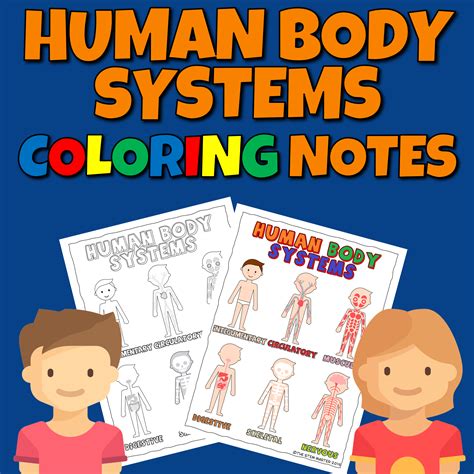 Body Systems Coloring Pages
