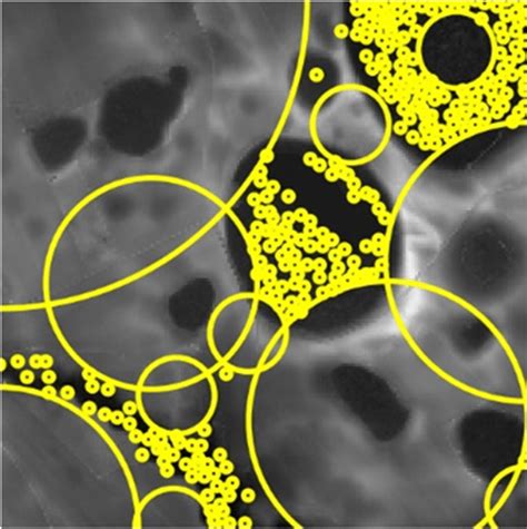 Traditional Computer Vision Algorithms Tested For Carolina Bay Download Scientific Diagram