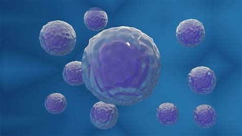 Stem Cell 3d Model 3d Model Cgtrader