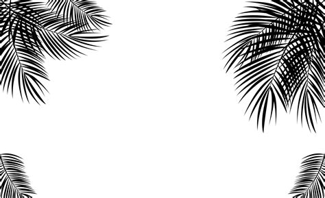 Palm Leaf Vector Background Illustration 4554340 Vector Art At Vecteezy