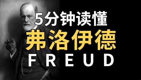 弗洛伊德：本能驱力理论、俄狄浦斯情结、双重本能理论、结构模型，到底在说什么？【新手咨询师必备】 滑洋心理 滑洋心理 哔哩哔哩视频