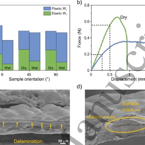 Transversal Cross Section Through The Scorpion Tibia A Dorsal View Download Scientific