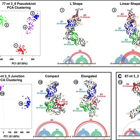 Clustering Analysis And Representative Structures For The Three Fse Download Scientific Diagram